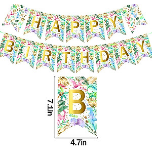 Girls Dinosaur Birthday Party Decorations, Pink Dinosaur Party Supplies, Girls Dino Party Banner and Hanging Swirls