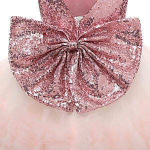 ABAO SISTER Baby Girls Sequined Flower Girl Dress Toddler Princess Tulle Tutu Pageant Ball Gowns, Pink 24M