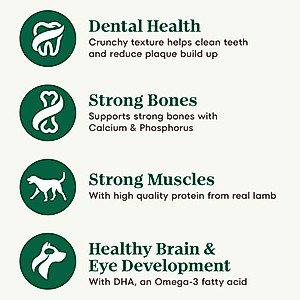 Nutro Natural Choice Puppy Dry Dog Food, Lamb & Brown Rice Recipe, 12 lb. Bag