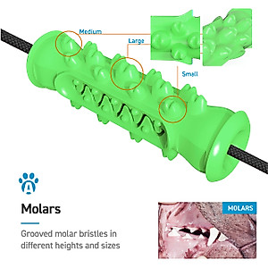 ANYPET Dog Chew Toothbrush Toy, Chew Dog Toy Squeaky Teeth Cleaning Toy for Aggressive Chewers Large Breed Indestructible Tough Dog Toothbrush Stick for Medium to Large Dogs