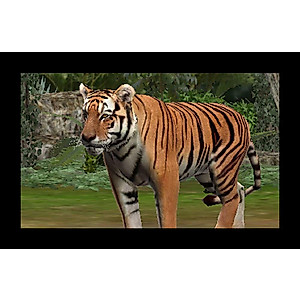 Zoo Resort - Nintendo 3DS (Renewed)