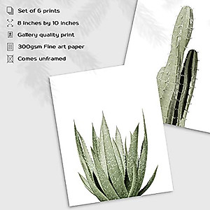 Botanical Plant Wall Art Prints, Cactus Wall Art, Minimalist Wall Art, Boho Wall Decor, Plant Wall Decor, Green Leaves Eucalyptus Pictures Posters, Bathroom Wall Decor, Kitchen Wall Decor (Set of 6, 8X10in, Unframed)
