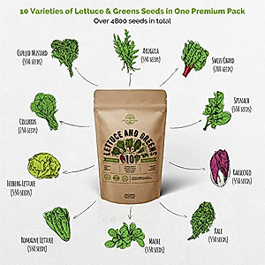 10 Lettuce & Salad Greens Seeds Variety Pack 4800+ Non-GMO Heirloom Lettuce Seeds for Planting Indoors & Outdoors Garden, Hydroponics - Arugula, Radicchio, Kale, Spinach, Swiss Chard, Lettuce & More