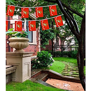 FWIW 2 Pack USA Marine Corps Banner String Small Mini American Military Pennant Flags July 4th Veteran Party Memorial Day Party Outdoor Yard Decorations