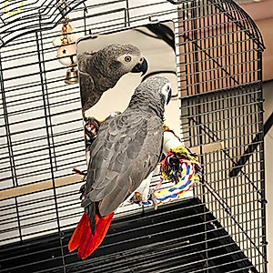 Colorday 9 inch Stainless Steel Bird Mirror with Rope Perch, Bird Toys Swing (Large)