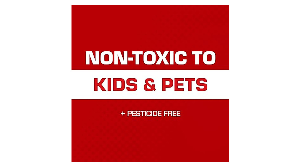 Tomcat Mouse Trap with Immediate Grip Glue for Mice, Cockroaches ...