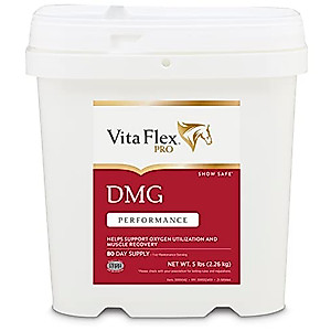 Vita Flex Pro DMG 1500 Horse DMG Supplement 5 Pounds, 80-Day Supply