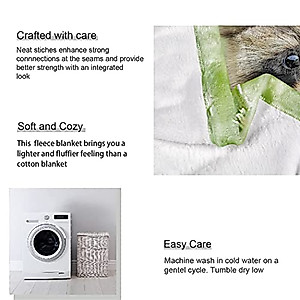 HommomH Raccoon Blanket Animal Pattern Digital Print Fleece Throw Cute Little Raccoon 60"x80"