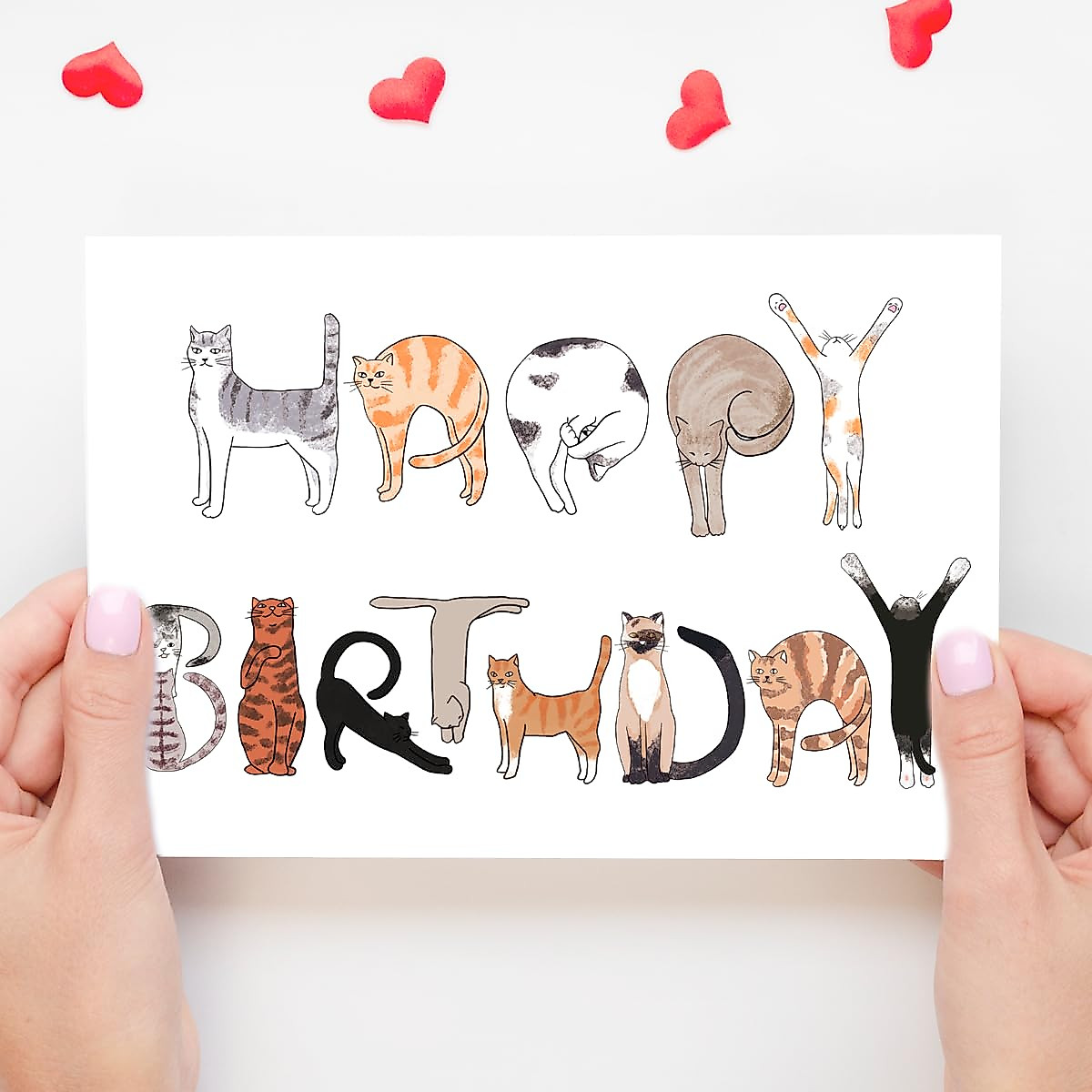 Bhiosng Happy Birthday Card for Cat Lover, Funny Cats Birthday Cards for Men Women, Cute Cat Owner Birthday Gift From Cat, Humor Cat Birthday Gift Card For Dad Mom Brother Sister Cat Lover