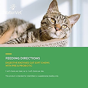 NaturVet – Digestive Enzymes For Cats Plus Probiotics – 60 Soft Chews – Helps Support Diet Change & A Healthy Digestive Tract – Aids in the Absorption of Vitamins & Minerals – 30 Day Supply