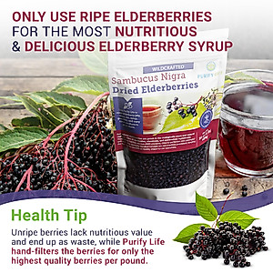 Dried Elderberries - 1lb Bulk - Hand-Sorted, Wildcrafted, Natural, Non-GMO, Whole European Immune System Support For Black Elderberry Syrup, Gummies, Jelly, Tea, Wine, Raw Sambucus, One Pound