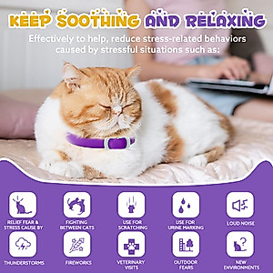 FRDUGA Calming Collar for Cats, Cat Calming Collar, All New Calming Pheromone Collar for Cats, Cat Pheromone Collar, Cat Calming Collar for Anxiety, Efficient Relieve Anxiety and Stress(4 Pcs)