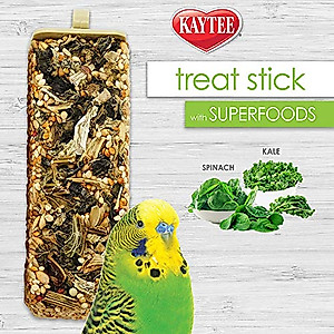 Kaytee 6 Pack of Birid Treat Sticks with Superfoods, Small to Medium, with Spinach and Kale