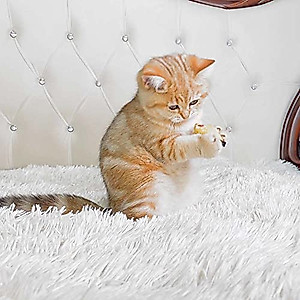 Sheba Perfect Portions Premium Cat Food Pate 4 Flavor 8 Can Variety with Toy Sampler Bundle, (2) Each: Salmon, Chicken Tuna, Turkey, Chicken (2.6 Ounces)