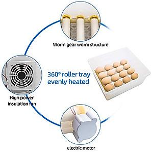Safego 16 Eggs Incubator for Hatching Eggs, Digital Mini Incubator with Automatic Turner and Egg Candler Tester for Hatching Chicken Duck Quail Bird Eggs