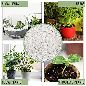 Horticultural Perlite Soil Additive (12 Quarts); for Enhanced Potting Mix Drainage and Growth