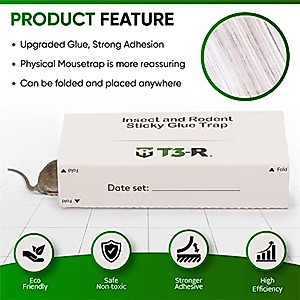 T3-R ​​Sticky Large Rat & Mice Glue Traps | Mouse and Insect Glue Boards | Disposable Non-Toxic Glue Traps for Mice and Rats | Peanut Butter Scent Sticky Traps (36 Pack)