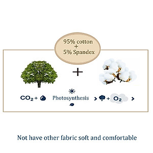 AMZCHPC Women's Briefs Cotton Underwear Mid Waisted Panties Soft Underpants 5Pack (multicolor, M)