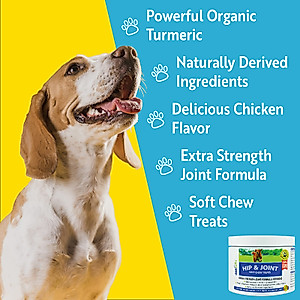 DakPets Glucosamine Chondroitin, MSM, Hip & Joint Supplement for Dogs, Organic Turmeric Soft Chews, Supports Healthy Joint Function and Helps with Pain Relief 120-Count