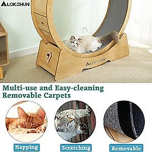 Lokshun Cat Wheel,Cat Exercise Wheel with Lock Pin,Great Weight-Loss Cat Wheel with Carpeted Runway,Large-Sized Cat Exercise Wheel with Noiseless Rollers,42in Large,Cat Teaser Stick Included