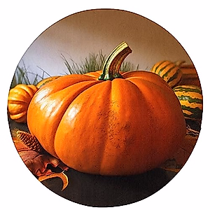 Super Soft Round Area Rug, Thanksgiving Day Pumpkin Printed Flannel Bath Rug Non-Slip Circle Rug Washable Throw Rugs Decor Floor Mat Carpet for Living Room Sofa Bedroom 24 in