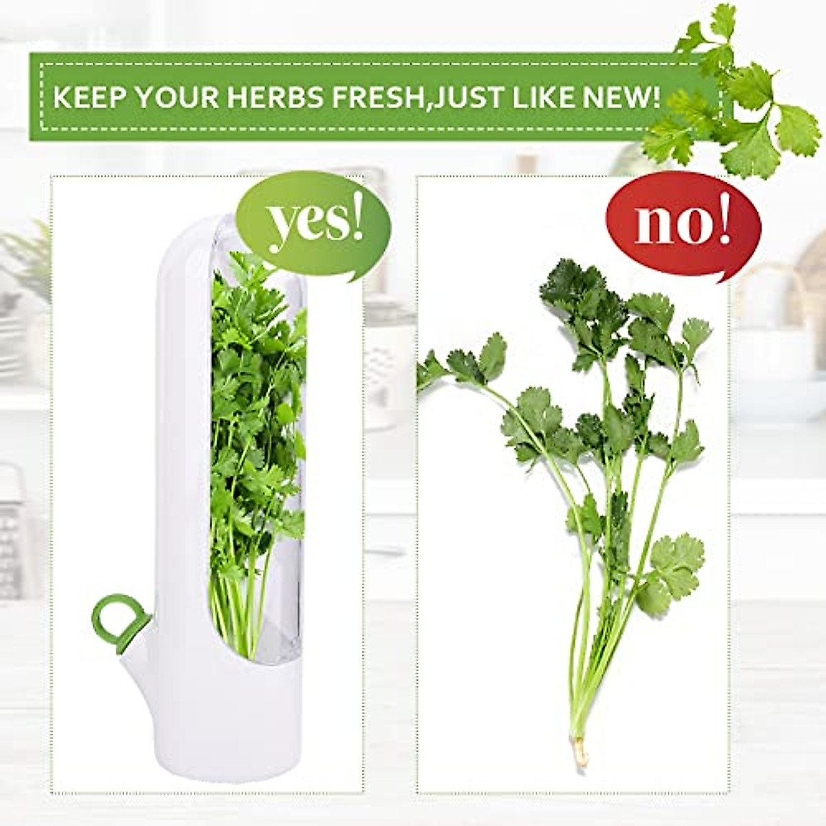 Herb Keeper Set, Herb Saver for Refrigerator, Herb Scissors, Pack Herb Stripper Herb Saver Pod Keeps Greens Fresh for 2-3 Weeks(size:2pc)