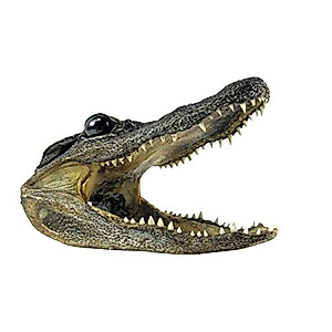 Pen Kit Mall - Taxidermy American Alligator Head (6-7 Inch) Authentic Florida Wildlife Real Animal Reptile Skull