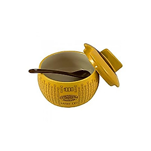 Parmigiano - Reggiano- Pottery Cheese Container with small spoon