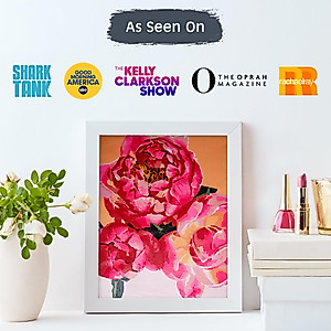 Pink Picasso Kits Botanical Floral Paint by Number for Adults | DIY Canvas Painting Kits Color by Numbers Drawing Arts and Drawing Crafts As Seen On Shark Tank | (Petal Power) 16x20 - Paint Kit Set