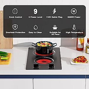 Cooksir 2 Burner Electric Cooktop 12 inch, 3000W Electric Stove Top 220-240V, Built-in Electric Stovetop with 9 Power Level, Knob Control, Auto Shut Down Protection, Hard Wired (No Plug)