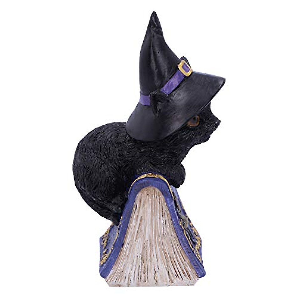 Nemesis Now Pocus Witch's Familiar Black Cat Figurine with Spellbook – Hand-Painted Resin Decoration for Witchcraft and Magic Lovers