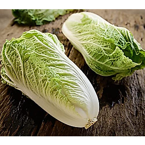 Gaea's Blessing Seeds - Chinese Cabbage Seeds - Michihili Heirloom - Non-GMO Seeds with Easy to Follow Planting Instructions - Open-Pollinated High Yield Heirloom 94% Germination Rate