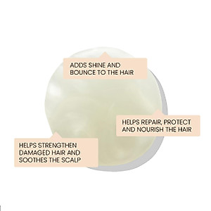 ELEVEN AUSTRALIA I Want Body Volume Shampoo Provides Thicker & Fuller Voluminous Hair - 10.1 Fl Oz