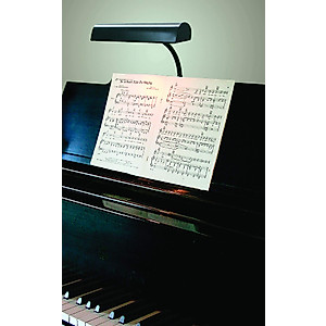 Promotion 2PK LED T10 3.5W, 25W/120V Incandescent Equivalent, Completely Traditional T10 Shape Glass Bulbs(3.5Wx2PCs)