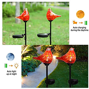 Solar Garden Lights Outdoor Decorative - Cardinal Solar Garden Stake Lights Handblown Glass Garden Stake Decorative Solar Pathway Lights for Garden, Lawn, Patio, Yard(2 Pack)