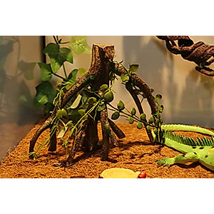 AQUA KT Reptile Corner Climbing Branch with Plant Snake Climb Tree for Bearded Dragon Lizard Hermit Crab Crested Gecko Leopard Chameleon Frog Terrarium Habitat