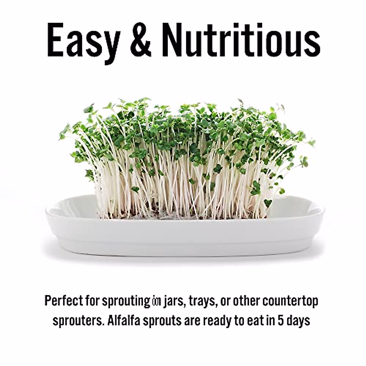 USDA Organic Alfalfa Sprouting Seeds | 1 Pound | Perfect for Sprouting & Microgreens, Premium Alfalfa Sprout Seeds, Non-GMO