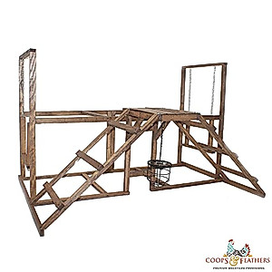 Coops & Feathers Chicken Activity Center-Play, Swing, & Roost-Includes Treat Basket (Large)