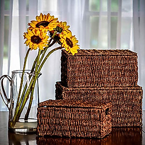 Set of 3 Rectangular Seagrass Baskets with Lids by Trademark Innovations