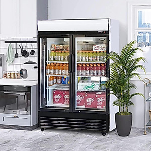 FRICOOL Merchandiser Refrigerator with 2 Glass Doors, 31 cu ft Beverage Display Cooler, Upright Fridge with LED Lighting, Adjustable Shelves for Beverages, Beer and Drinks, Swing Door, Black