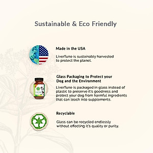 LiverTune - Certified Organic Naturally Fermented Liver Support