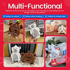 Reversible Toy Plush for Girls & Boys, Educational Mood Regulating Plushie Teddy Bear, Chocolate Scented Benji The Bear Realistic Stuffed Animal for Babies, Toddlers, Preschool, Kindergarten