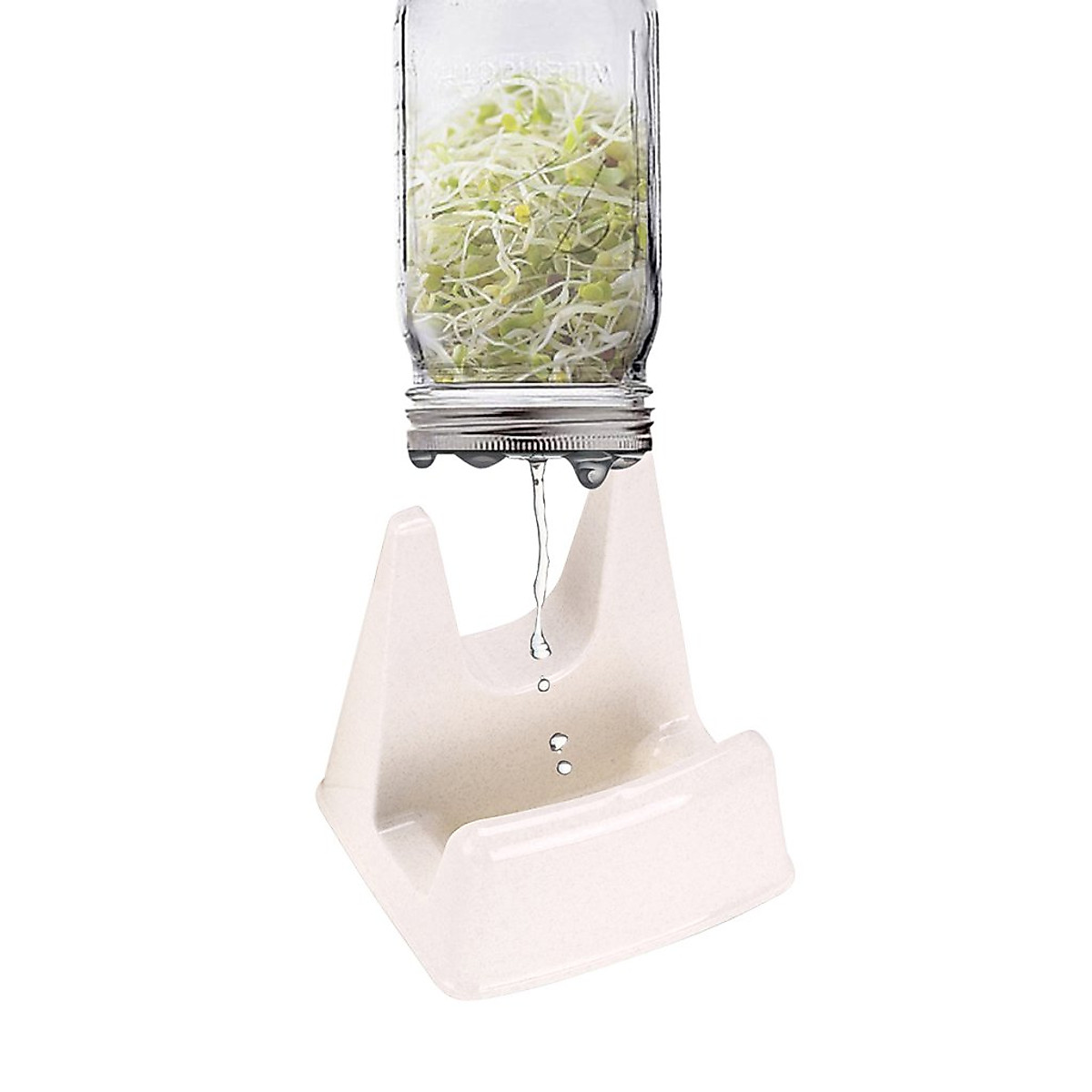 SUMNACON Sprouting Jar Stand - 3 Pcs Sprouting Stands With Water Tray For Any Mason Jars For Making Broccoli/Lentil/Bean Sprouts