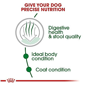 Royal Canin Small Indoor Adult Dry Dog Food, 2.5 lb bag