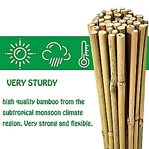 Mininfa Natural Bamboo Stakes 3 Feet, Eco-Friendly Garden Stakes, Plant Stakes Supports Climbing for Tomatoes, Trees, Beans, 25 Pack