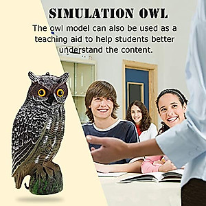 AMONIDA Prowler Owl Garden, Prowler Owl, Eye/Eye Not Backyards for Garden Yard(Ordinary Paragraph)