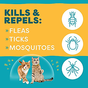 Only Natural Pet EasyDefense Flea & Tick Cat Collar - Feline Flea Collars Flea and Tick Control - Pet Flea Care That Protects up to 4 Months - for Cats (Single)