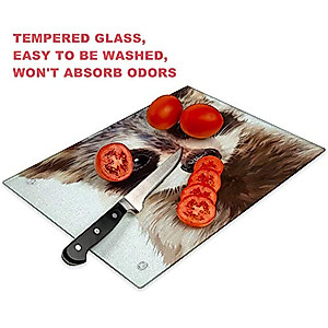 Tempered Glass Cutting Board Raccoon Tableware Kitchen Decorative Cutting Board with Non-slip Legs, Serving Board, Large Size, 15" x 11"