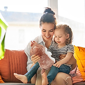 AEECASI Cute Otter Stuffed Animal Plush Doll, Otter Plushie Christmas Birthday Soft Toy Gifts for Kids, Sea Otter Cuddle Pillow Home Decor, 11.8"