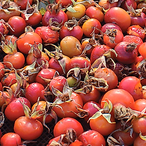 Frontier Co-op Organic Cut & Sifted Seedless Rosehips 1lb